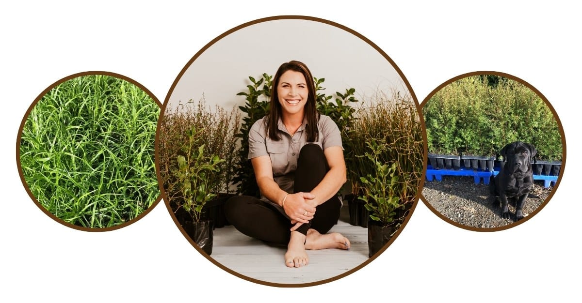 Drummond & Etheridge - Best Agricultural Services in Ashburton